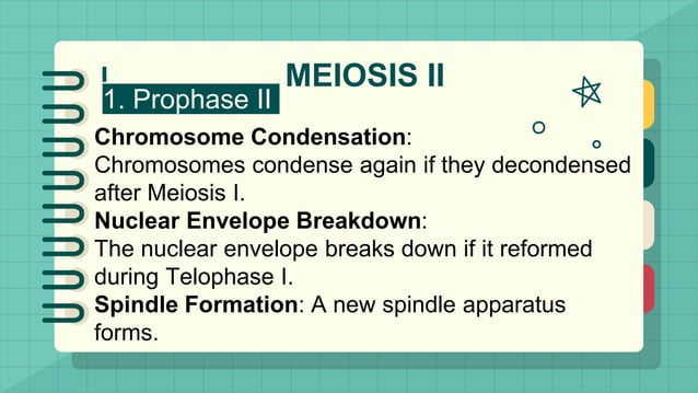 Meiosis General Biology 1 Quarter 2 Lesson 6 Pdf