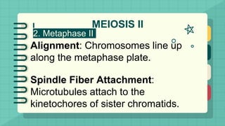 MEIOSIS_general_biology_1_quarter_2_lesson_6.pdf