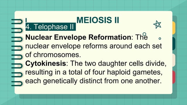 Meiosis General Biology 1 Quarter 2 Lesson 6 Pdf