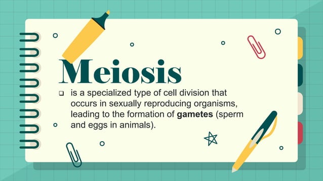 Meiosis General Biology 1 Quarter 2 Lesson 6 Pdf