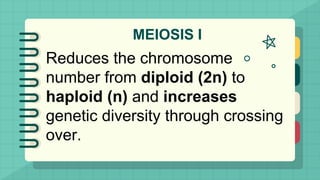 MEIOSIS_general_biology_1_quarter_2_lesson_6.pdf
