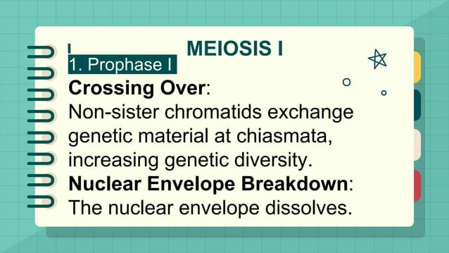 Meiosis General Biology 1 Quarter 2 Lesson 6 Pdf