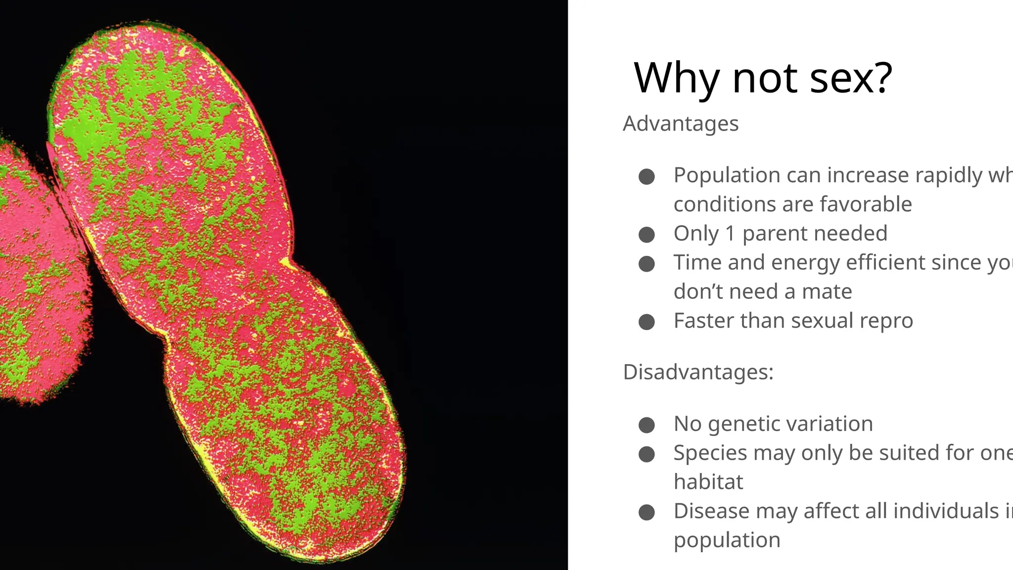 Chap 5 Meiosis 2022 Presentation AP Biology | PPTX