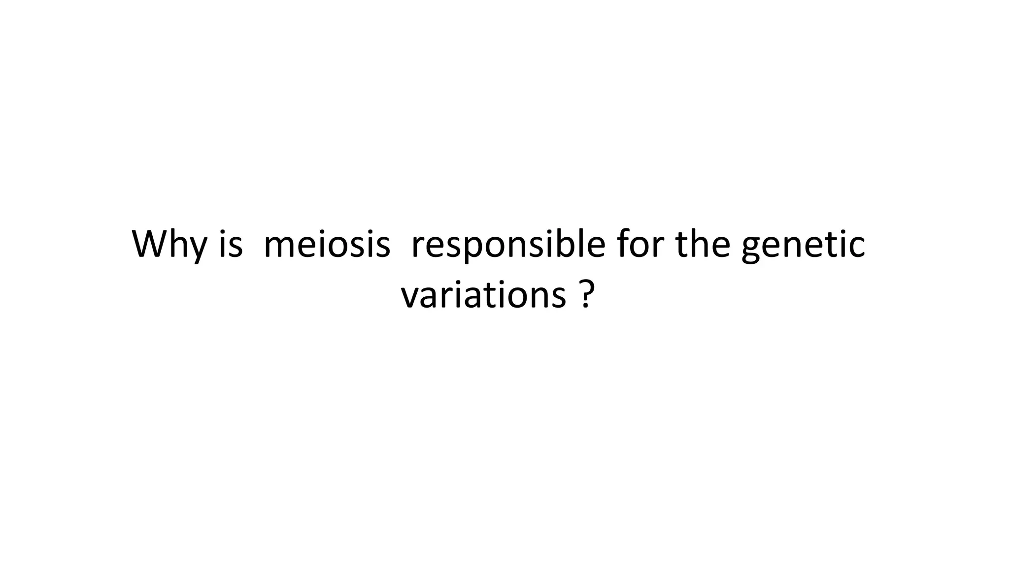 Meiosis stages for high school students new.pptx