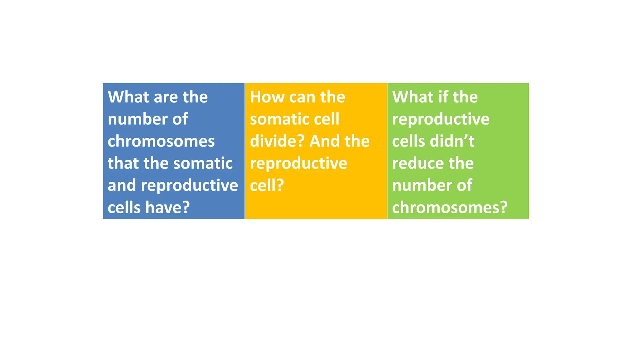 Meiosis stages for high school students new.pptx