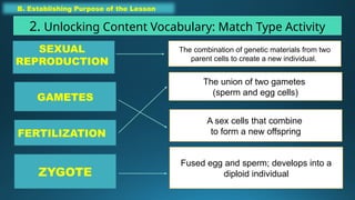 Meiosis and Meiosis : Gamete Formation.pptx