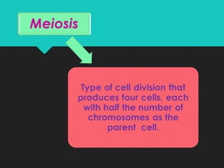 Meiosis and genetic variation (first ppt) | PPT