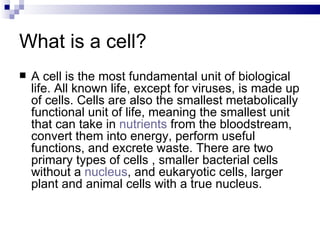 Meiosis and mitosis | PPT