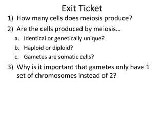 Meiosis and mitosis | PPTX