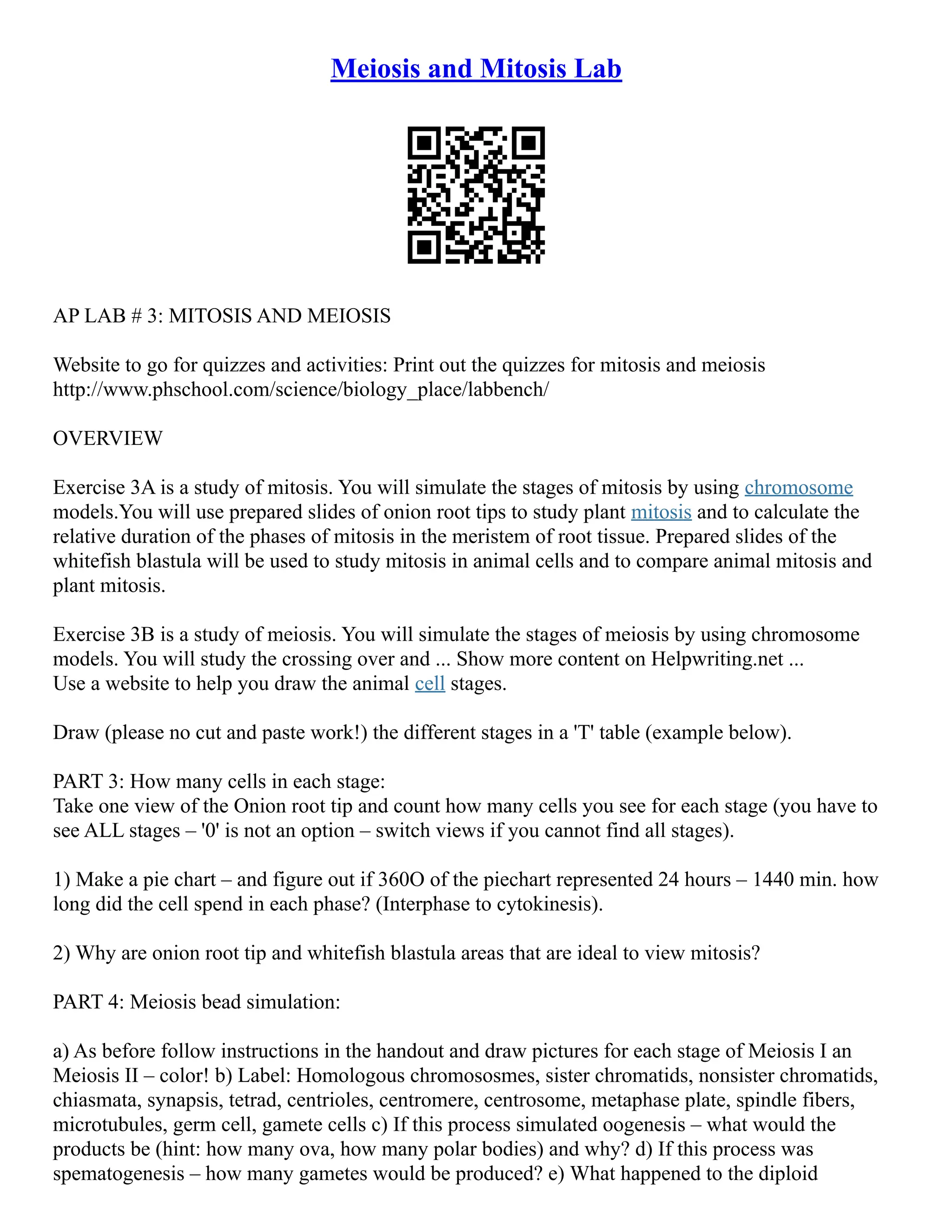 Meiosis And Mitosis Lab | PDF