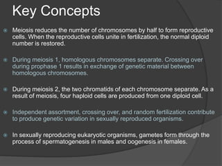 Meiosis and reproduction | PPT