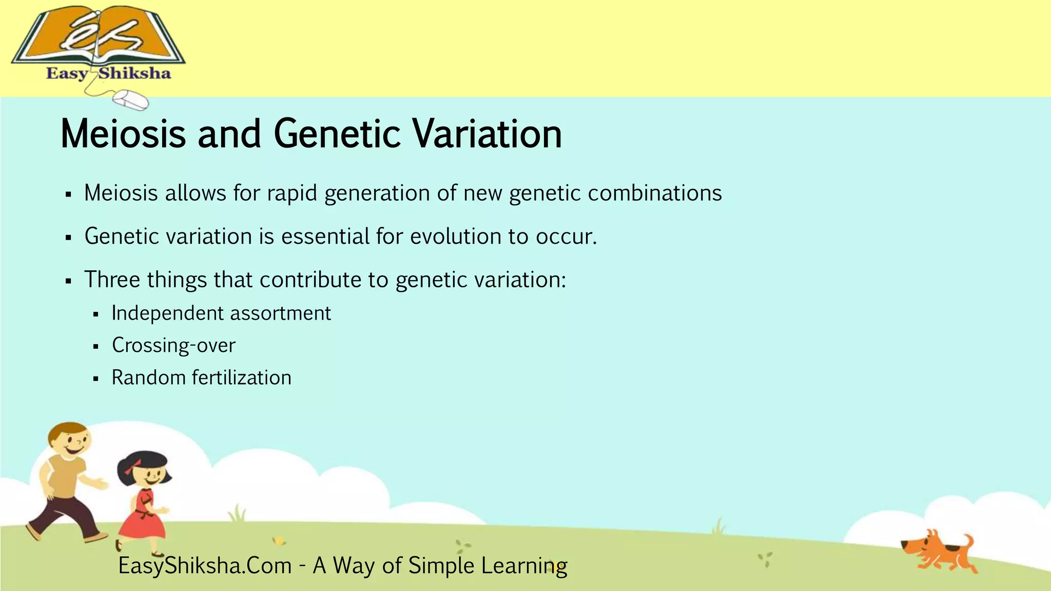Meiosis and Sexual Reproduction | PPTX