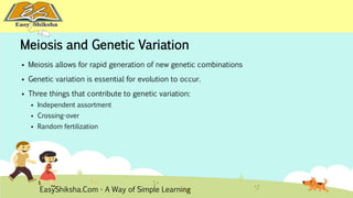 Meiosis and Sexual Reproduction | PPTX