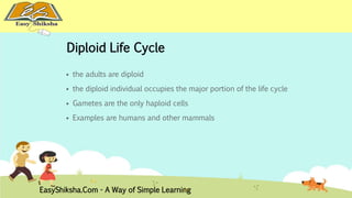 Meiosis and Sexual Reproduction | PPTX