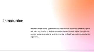 Meiosis Basics, mitosis ppt and pdf.pptx