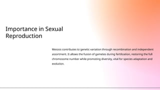 Meiosis Basics, mitosis ppt and pdf.pptx