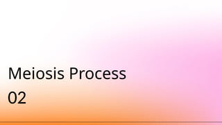 Meiosis Basics, mitosis ppt and pdf.pptx