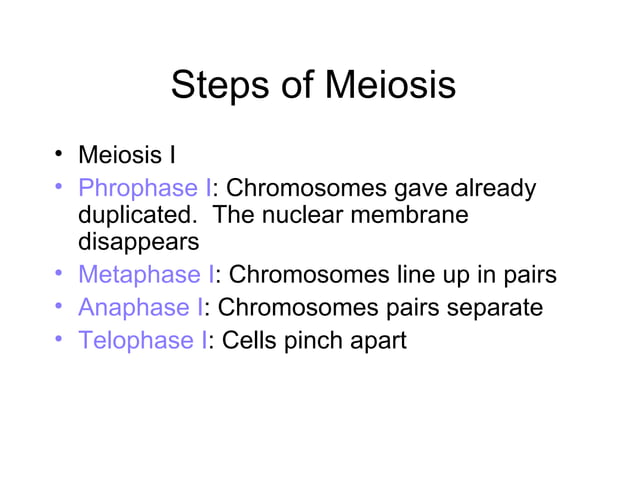 Meiosis brief overview1 (1) | PPT