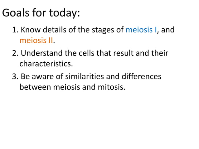 Meiosis Presentation | PPT