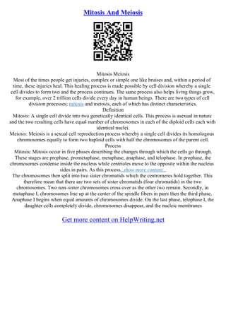 Meiosis Essay | PDF