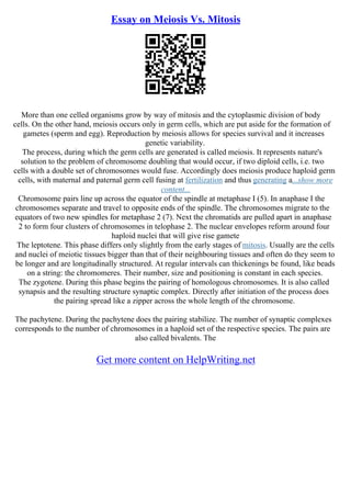 Meiosis Essay | PDF