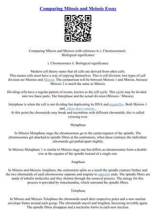 Meiosis Essay | PDF