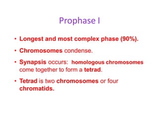 MEIOSIS ppt for bsc first year life science botany zoology | PPTX