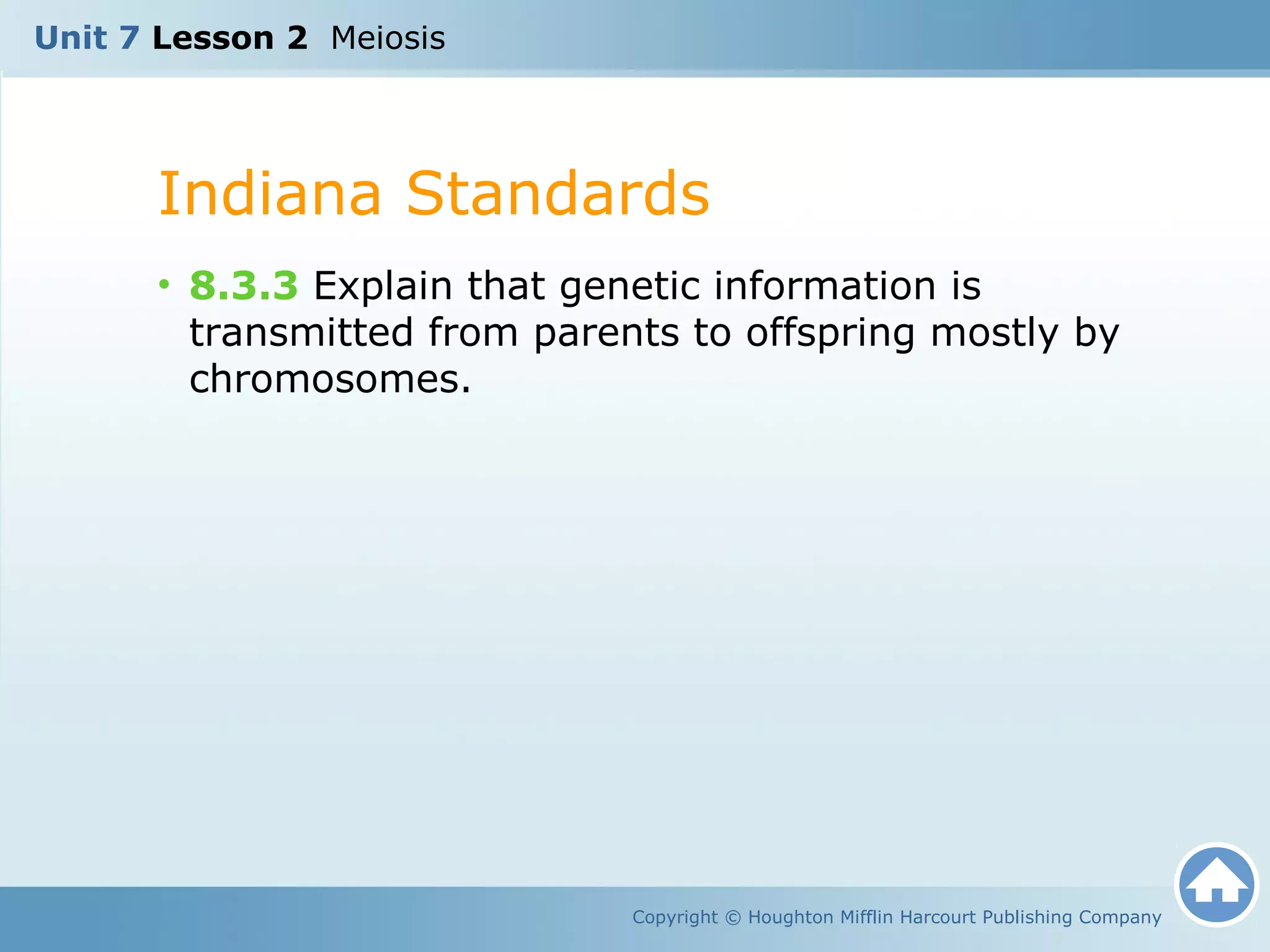 Meiosis grade 8 | PPT