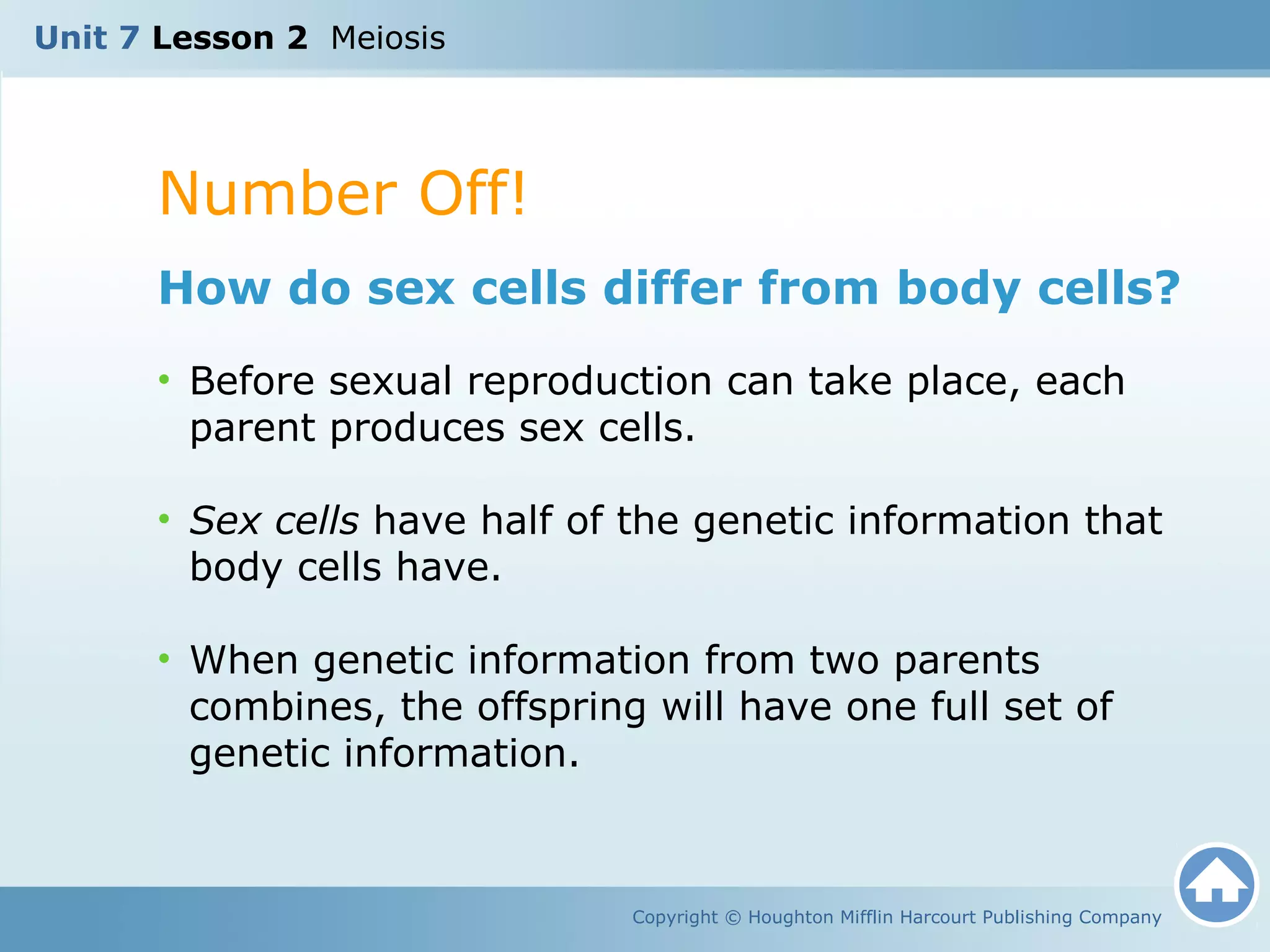 Meiosis grade 8 | PPT