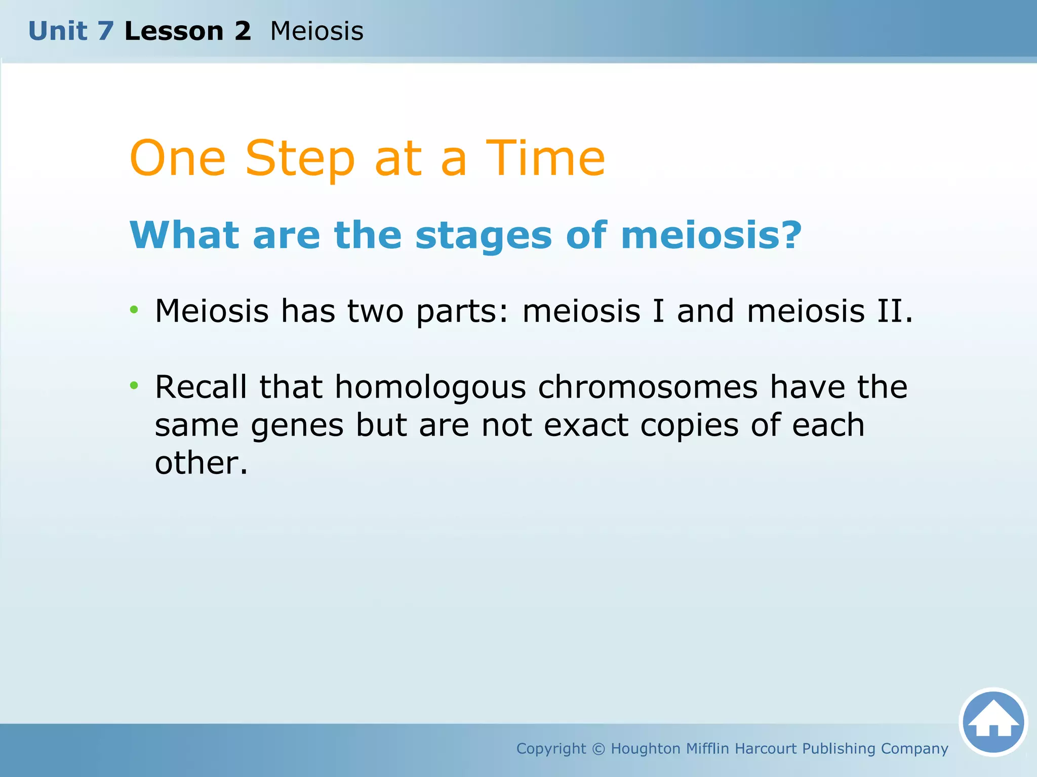 Meiosis grade 8 | PPT