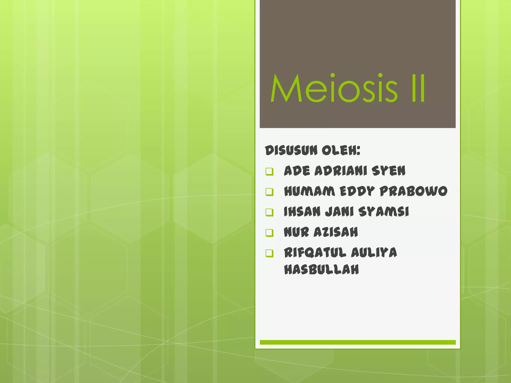 Meiosis ii | PPT