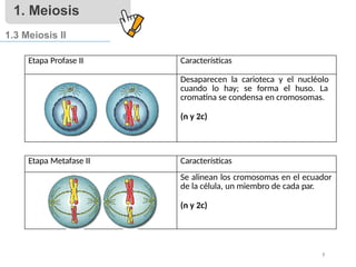 MEIOSIS II.pptx BIOLOGIA BIOLOGIA SECUNDARIAA | PPTX | Reproductive ...