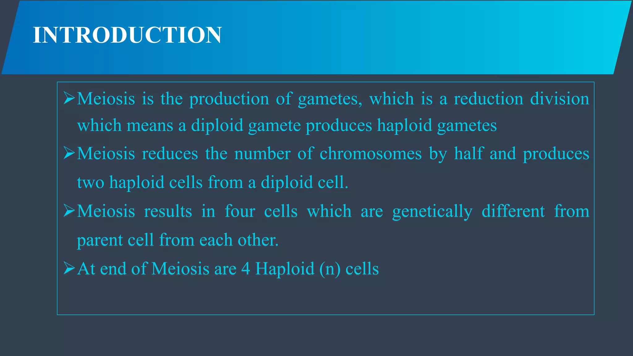 Meiosis I only | PPT