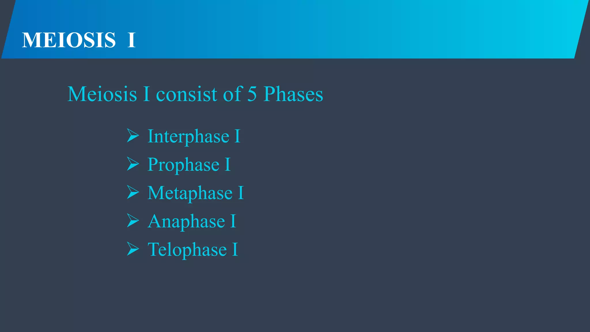 Meiosis I only | PPT