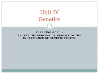 Meiosis learning goal 1 | PPTX