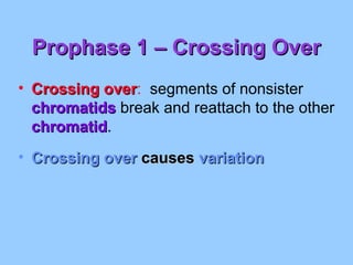 Meiosis n mitosis in cells (Microbiology).ppt
