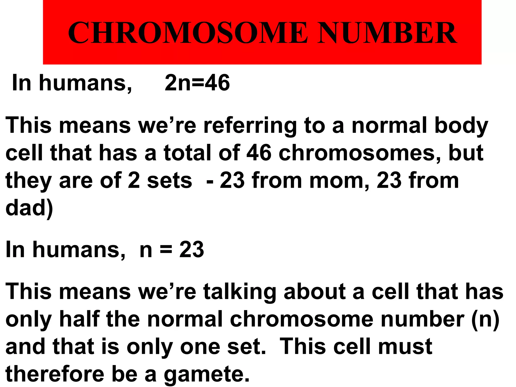 Meiosis Notes | PPT