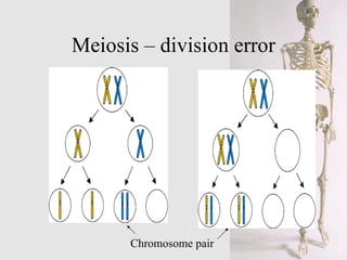 Meiosis Opt | PPT | Infertility | Reproductive Health