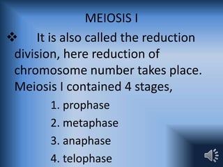 Meiosis | PPTX