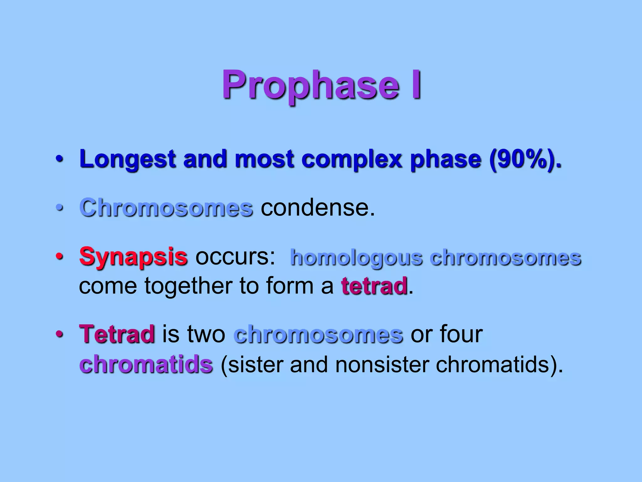 meiosis ppt.2014.ppt