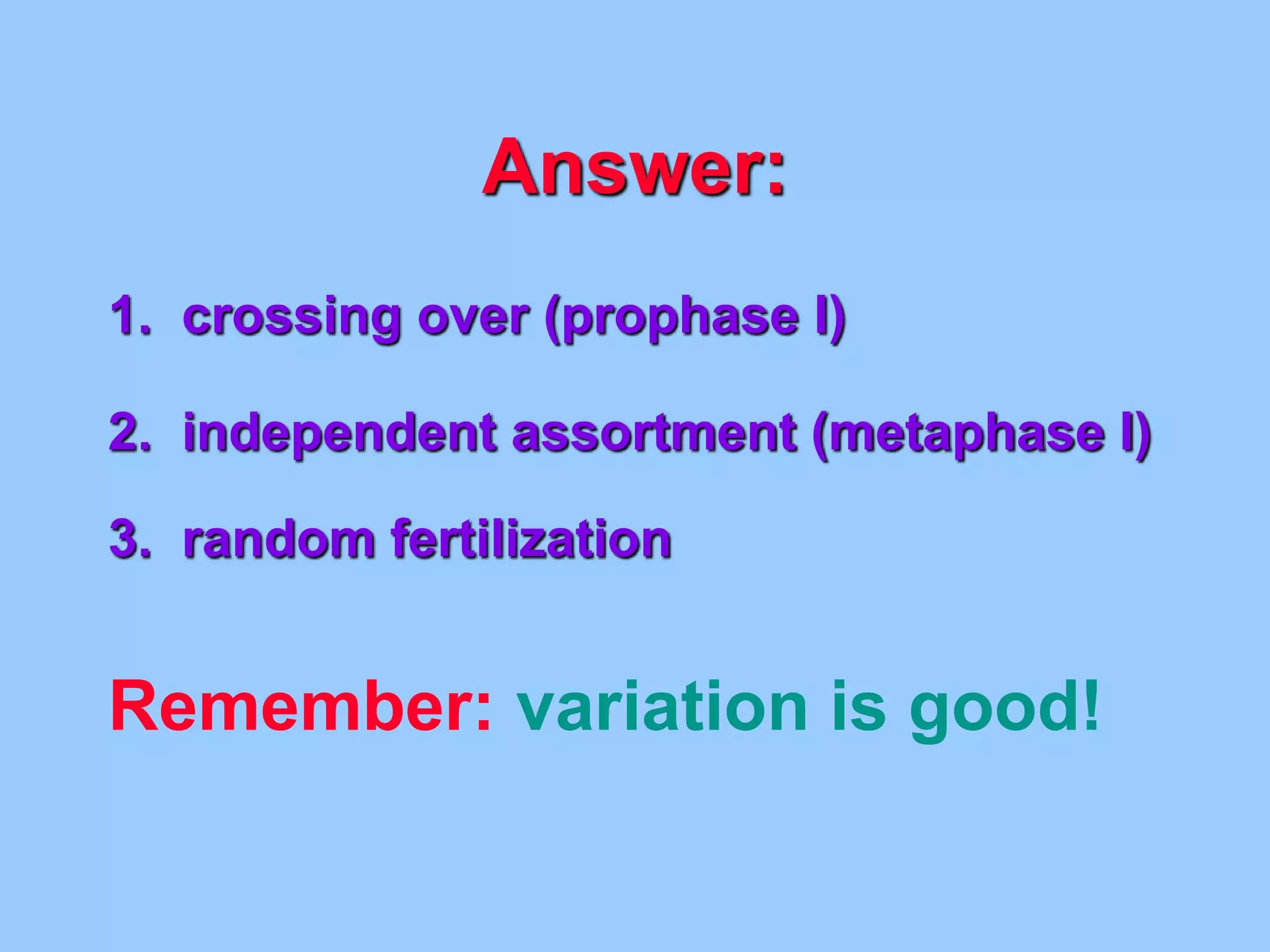 Meiosis Ppt 2014 Ppt