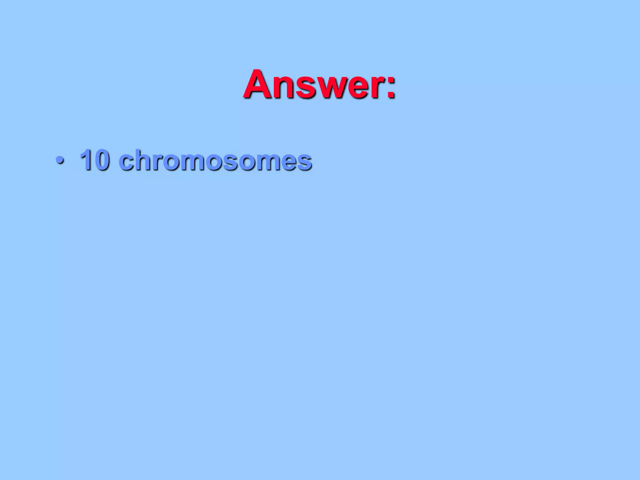 Meiosis Ppt 2014 Ppt