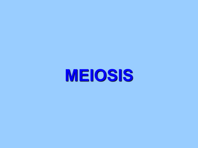 Meiosis Ppt 2014 Ppt