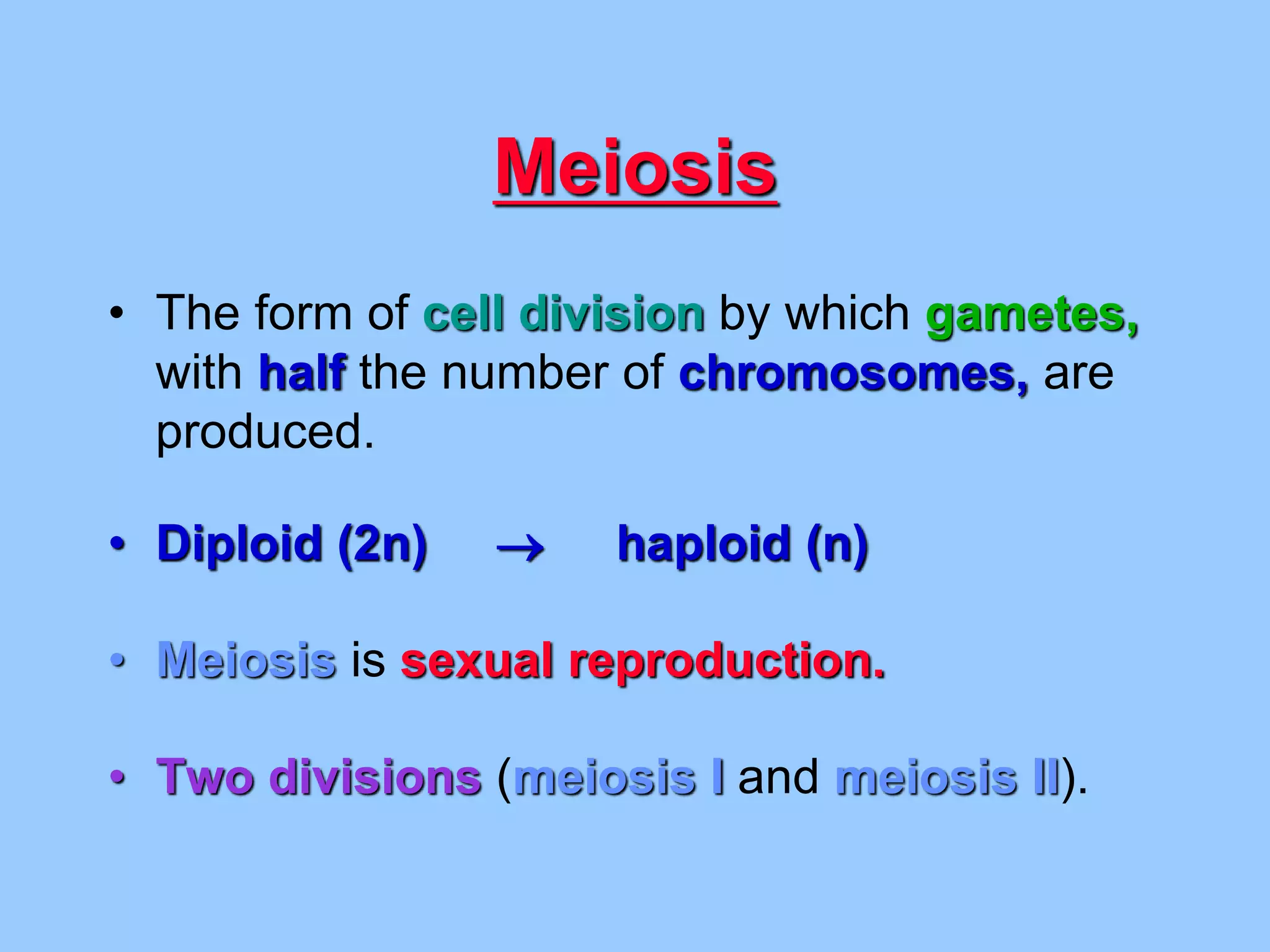 meiosis ppt.2014.ppt