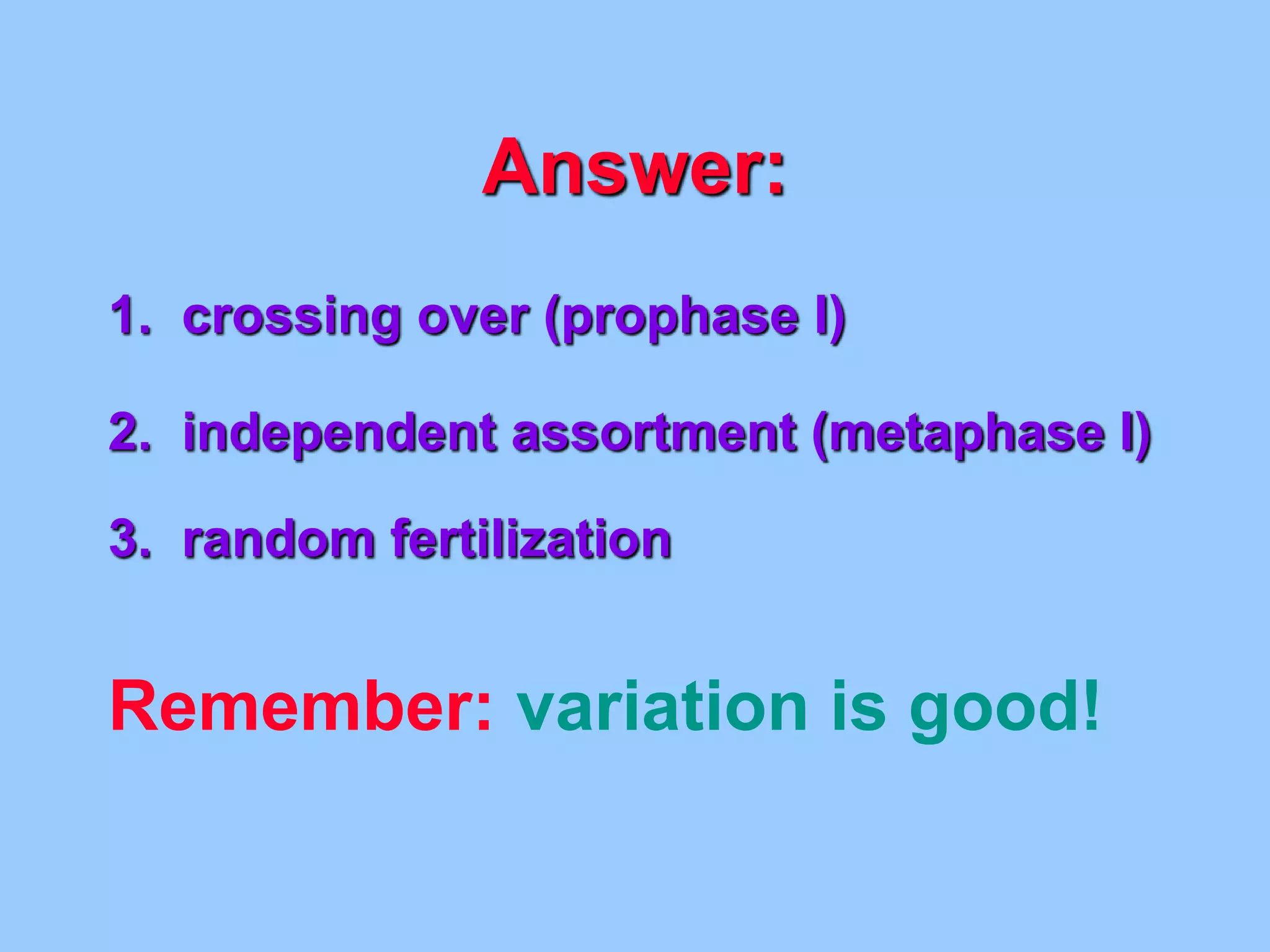 Meiosis Ppt 2014 Ppt Free Download