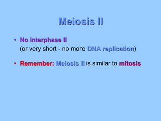 meiosis ppt.2014.ppt