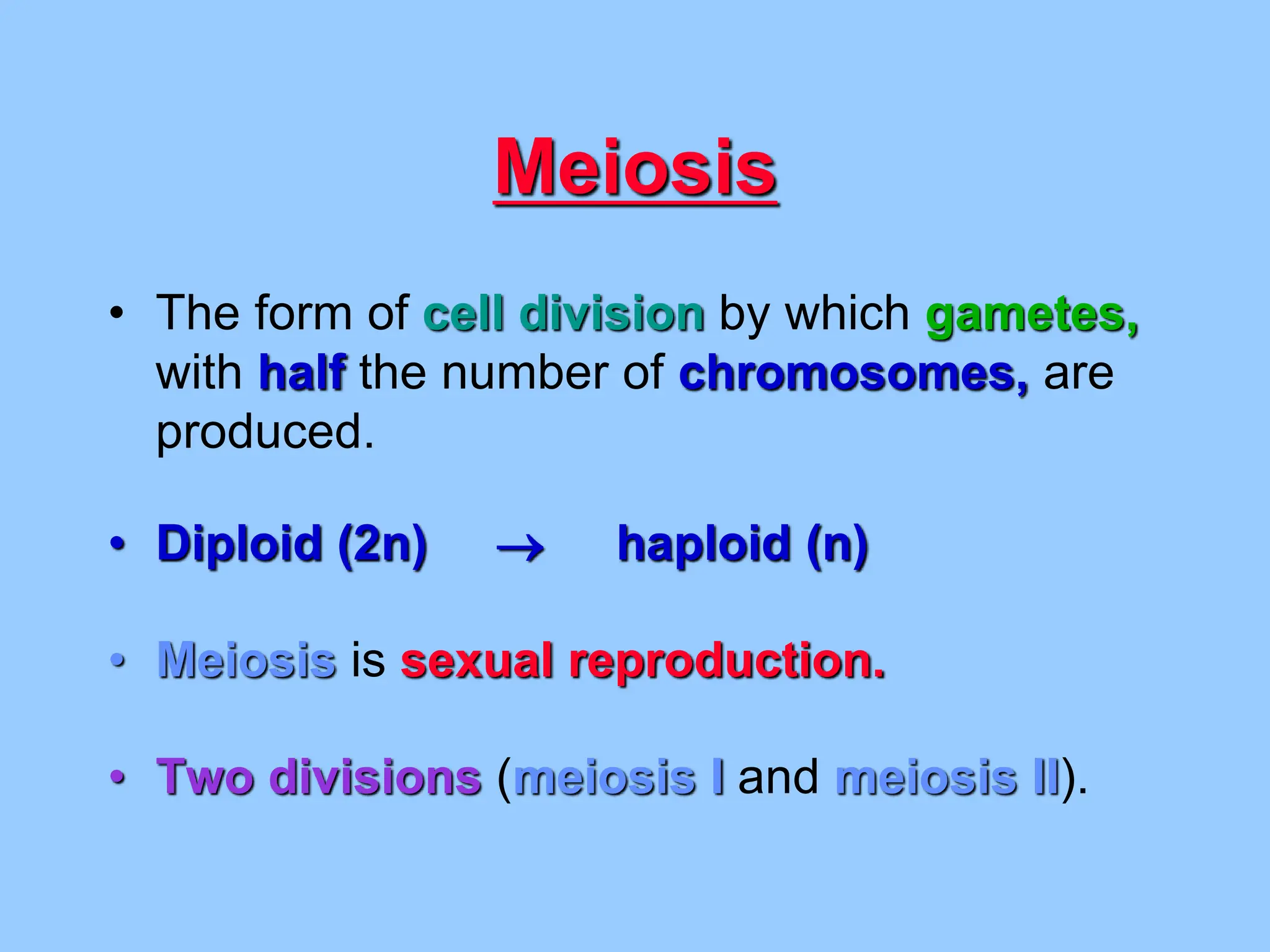 meiosis ppt.pptjbgjkbjlblkbnkl,bj,kbjkkkk | PPT