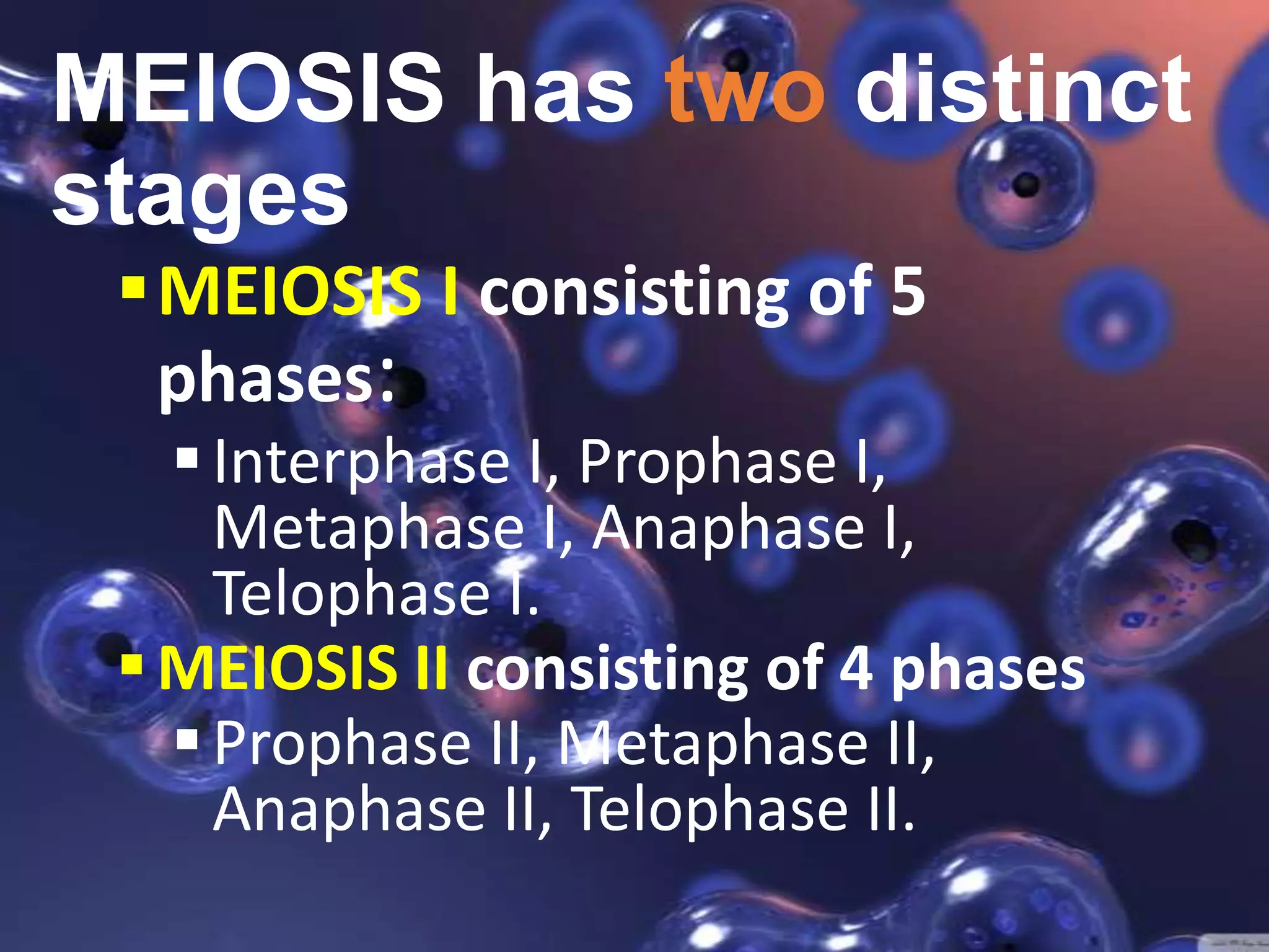 Meiosis 1 and 2 | PPTX