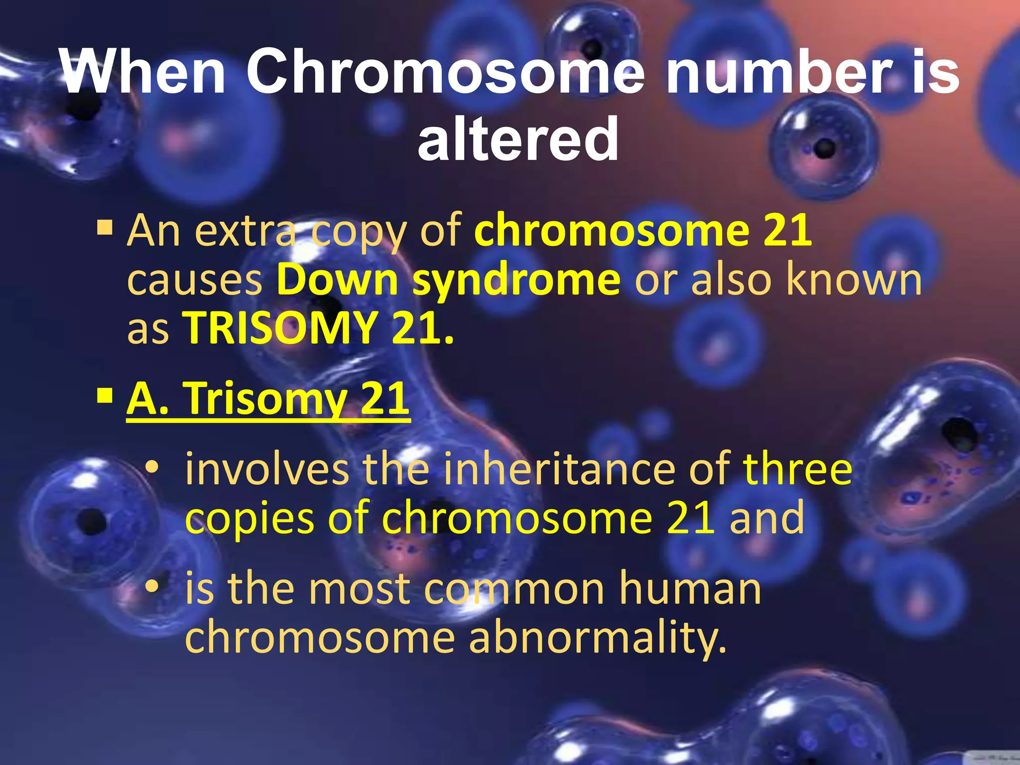 Meiosis 1 and 2 | PPTX
