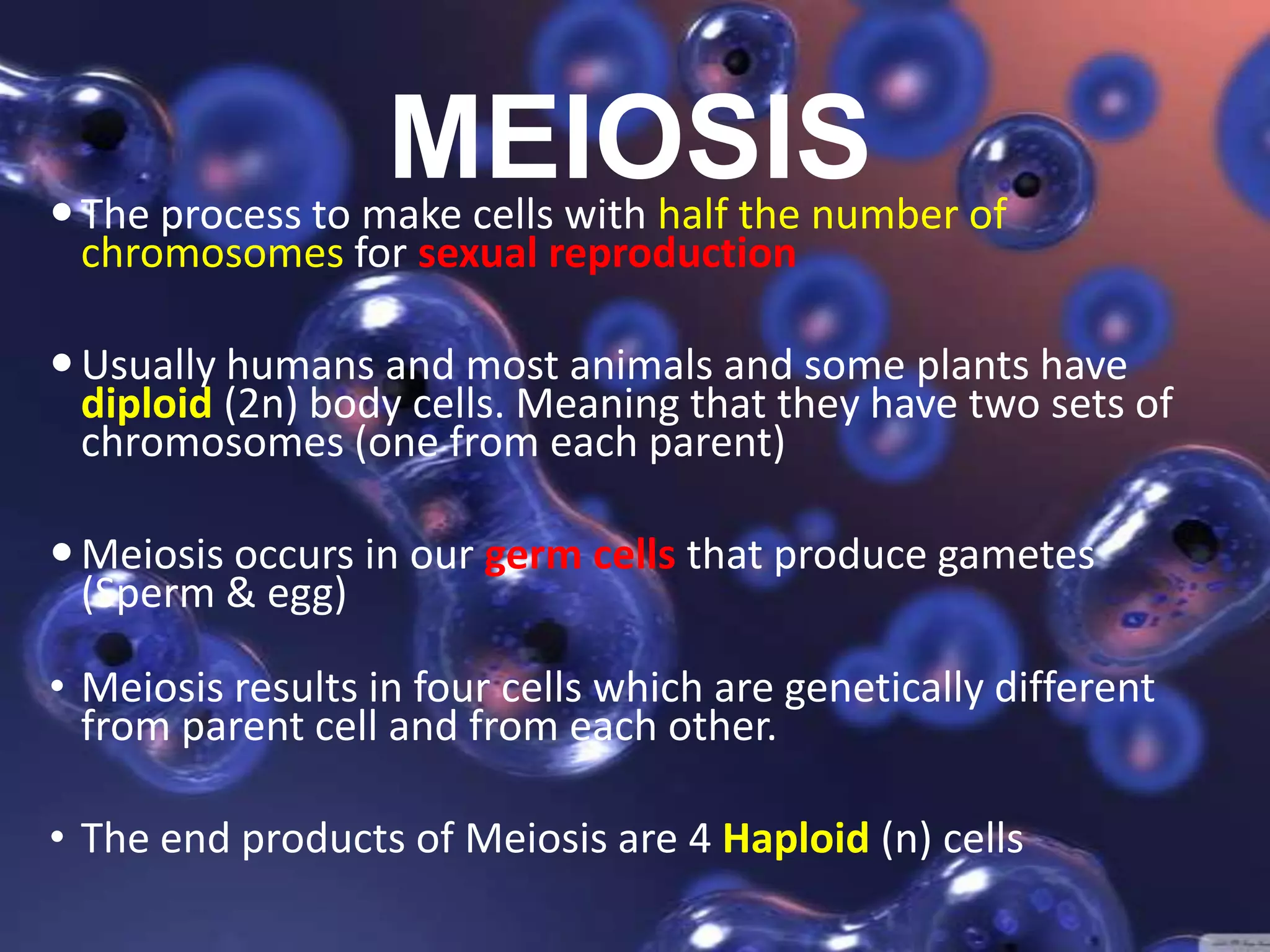 Meiosis 1 and 2 | PPTX